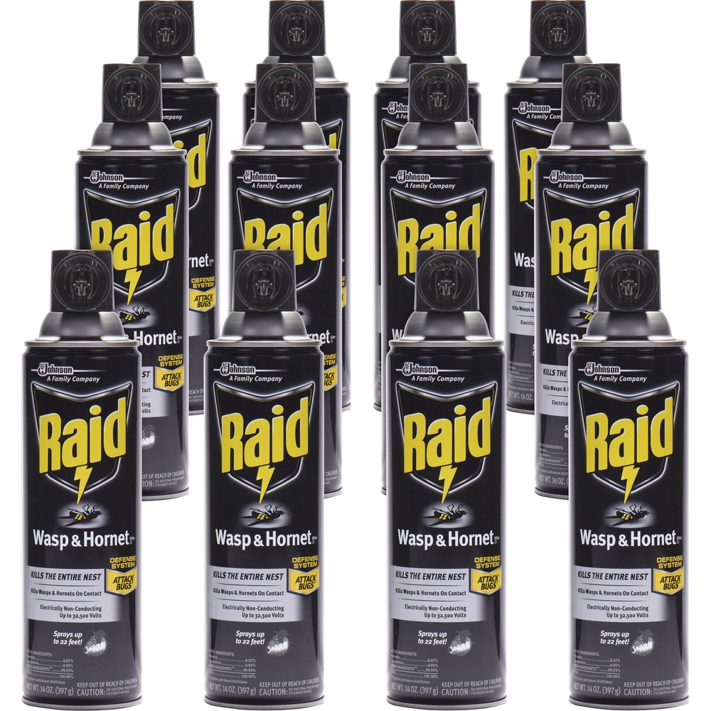 Raid Wasp/Hornet Killer Spray - Spray - Kills Hornet, Wasp, Mud Dauber ...