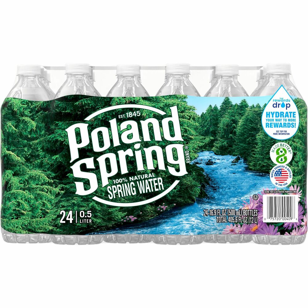 Poland Spring Bottled Spring Water - Ready-to-Drink - 16.91 fl oz (500 ...