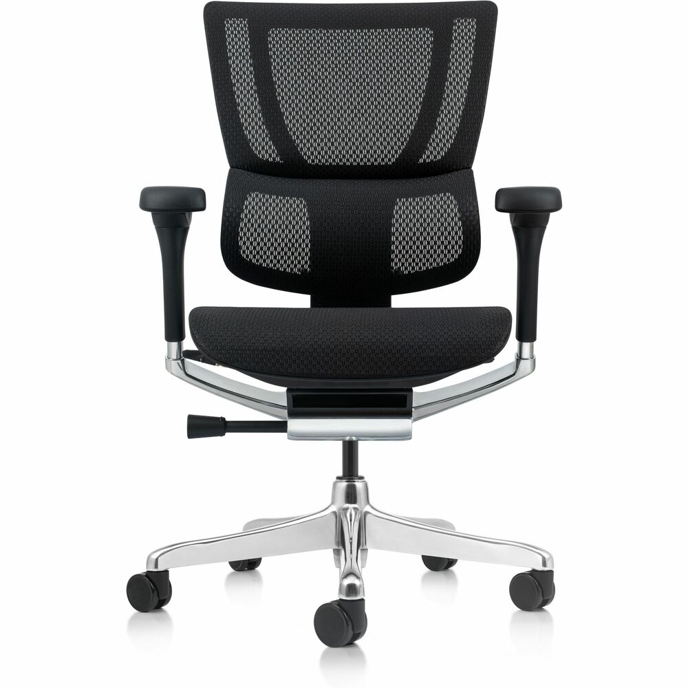 Eurotech Ergohuman Xtreme Executive Chair - Mesh Back Material - High Back - 5-star Base - Black ...