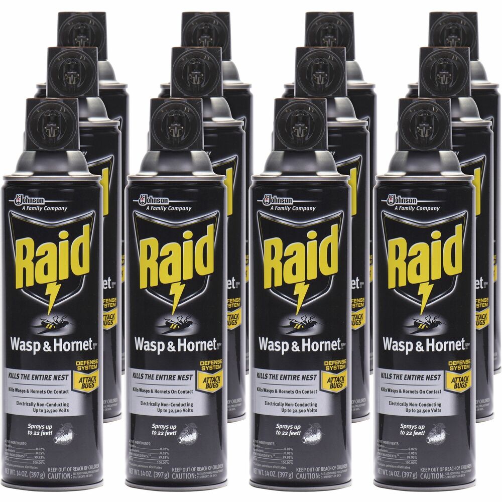 Raid Wasp and Hornet Killer 33 - Spray - Kills Wasp, Hornet, Mud Dauber ...