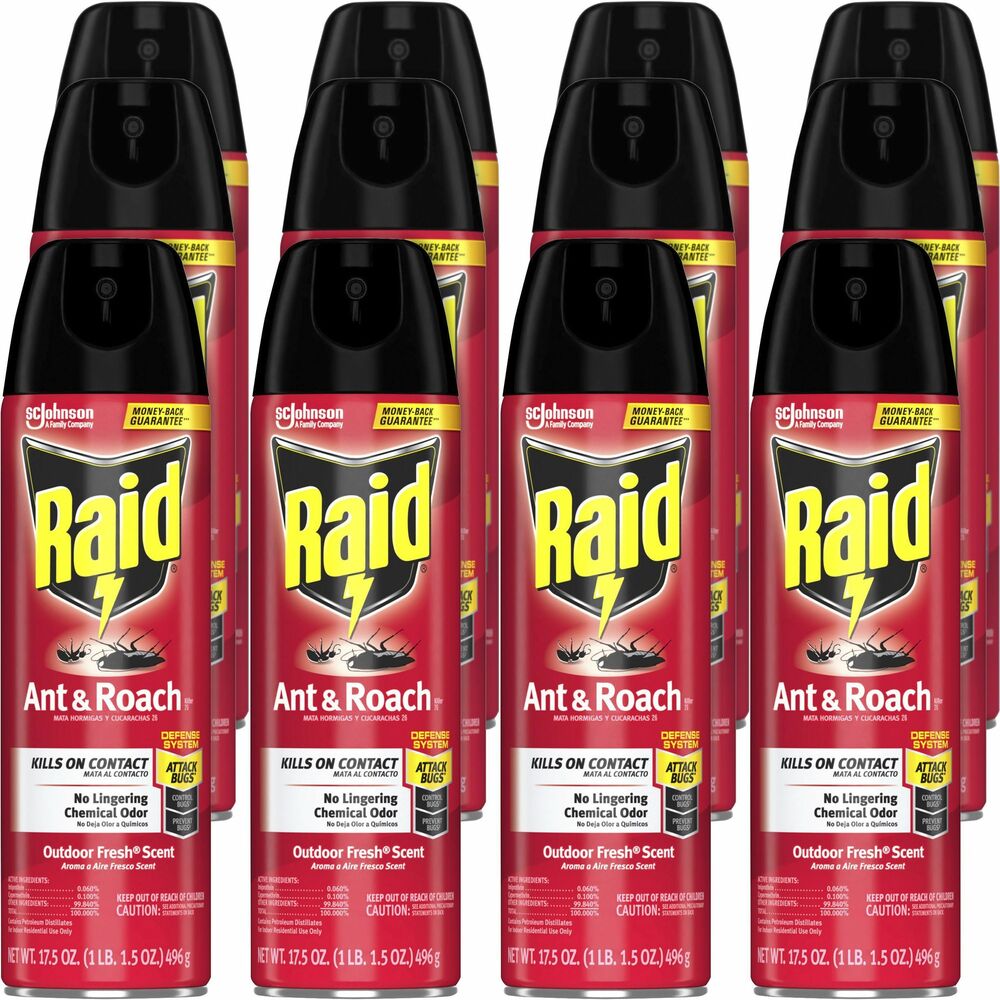 Raid Ant & Roach Killer Spray - Spray - Kills Ants, Cockroaches, Water ...