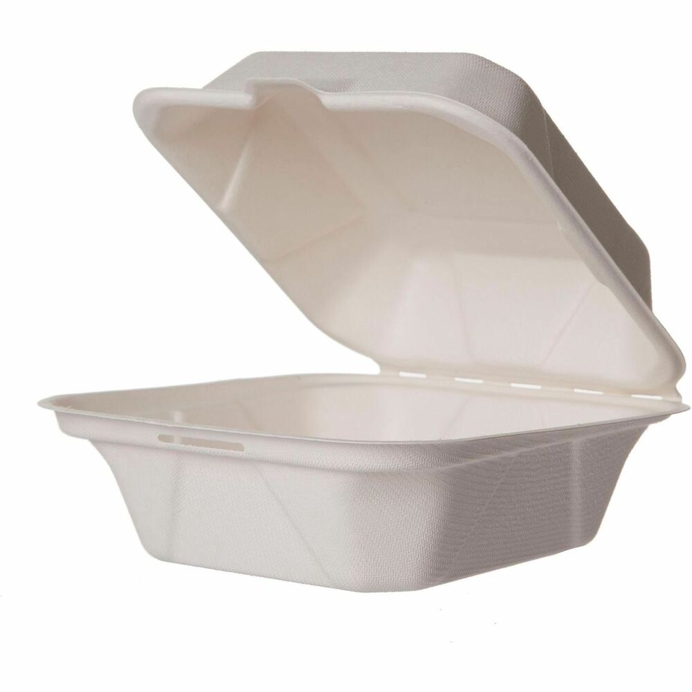 Vegware Compostable Takeout Containers - Food Storage, Salad - Natural ...