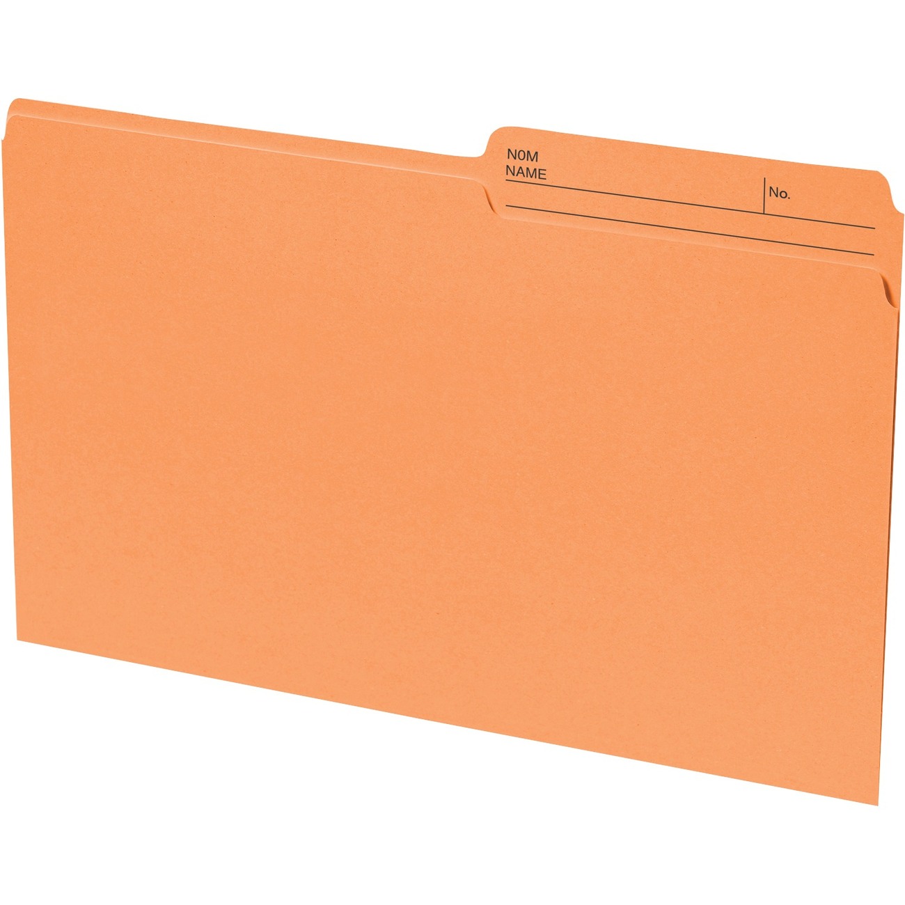 Basics® Coloured Reversible File Folders Legal Orange 100/box | Connors ...