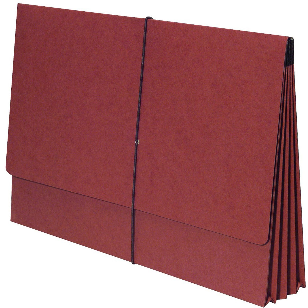 ALL-STATE LEGAL Recycled File Wallet