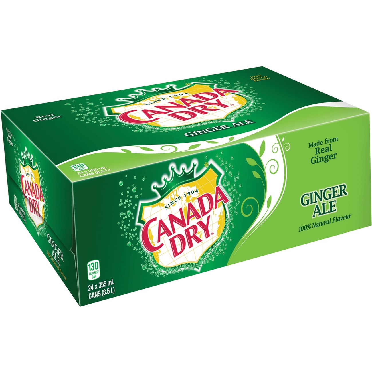 Coca-Cola Dry Ginger Ale Soft Drink | Corbett Office Plus