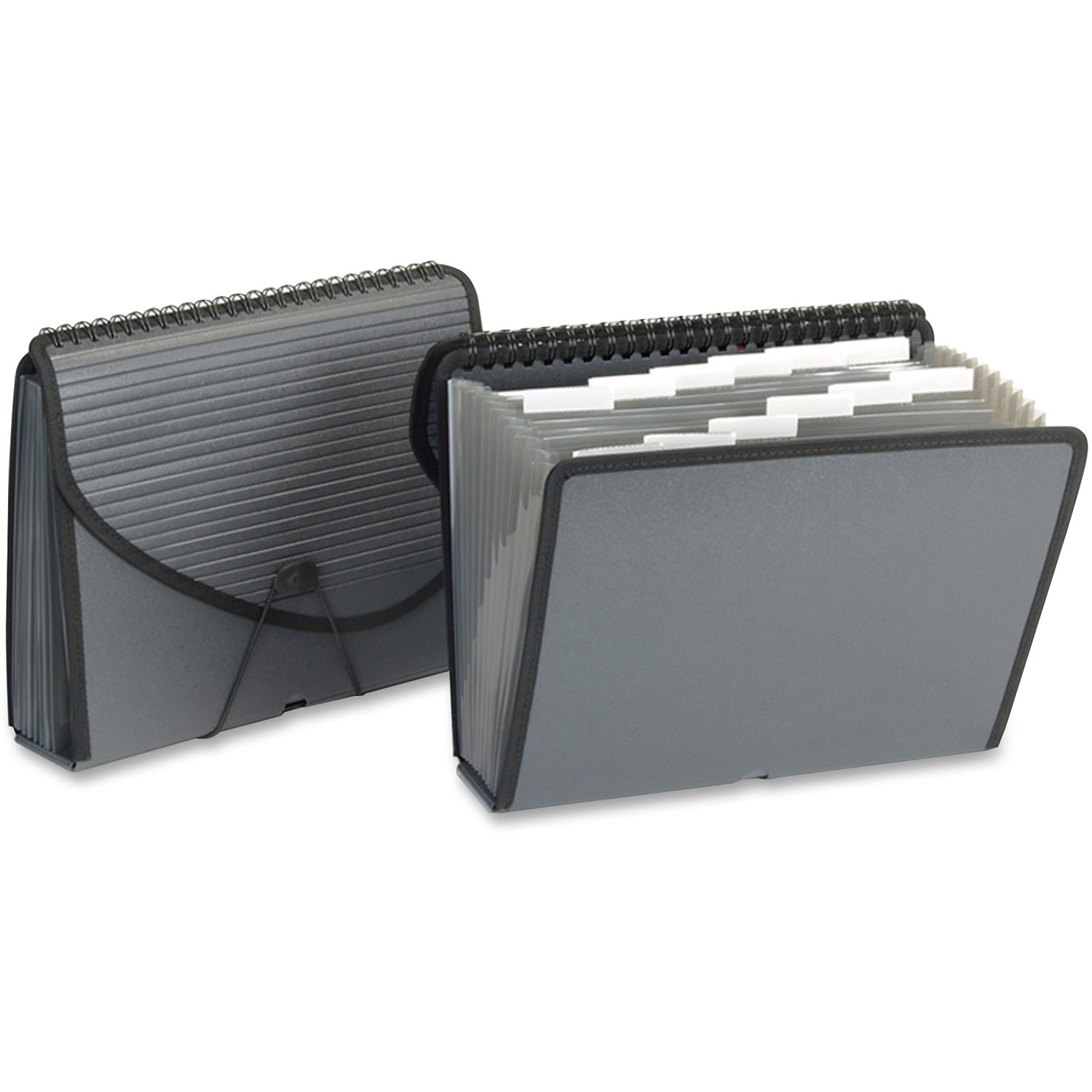 Esselte Recycled Expanding File - Expanding File Folders | Esselte ...