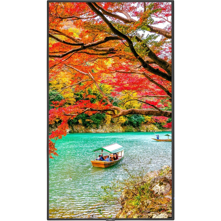 Sharp NEC Display 43" Wide Color Gamut Ultra High Definition ...