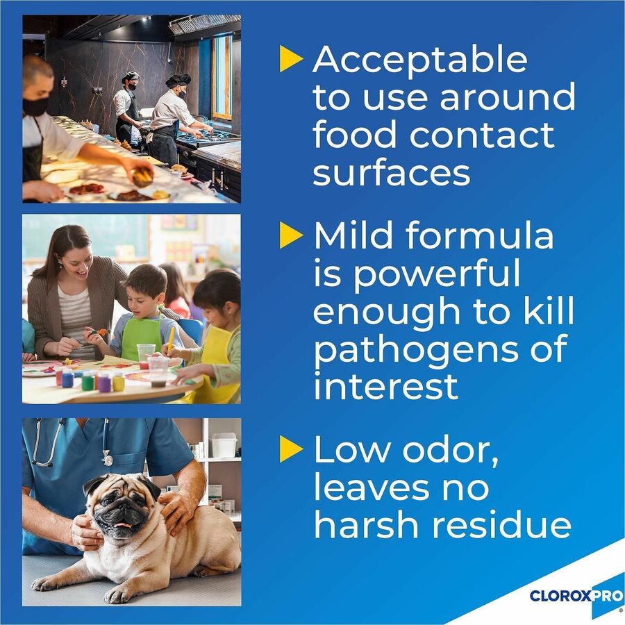 CloroxPro™ Anywhere Daily Disinfectant and Sanitizer (CLO01698BD ...