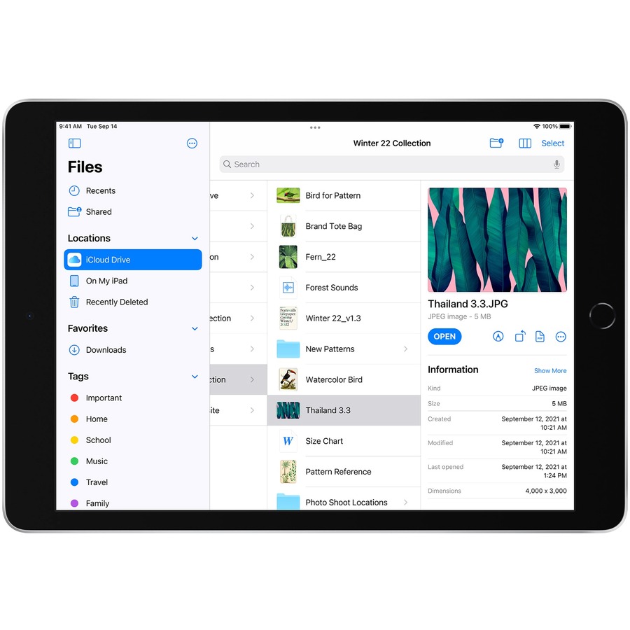 Apple iPad (9th Generation) Tablet - 10.2" - Apple A13 Bionic Hexa-core ...