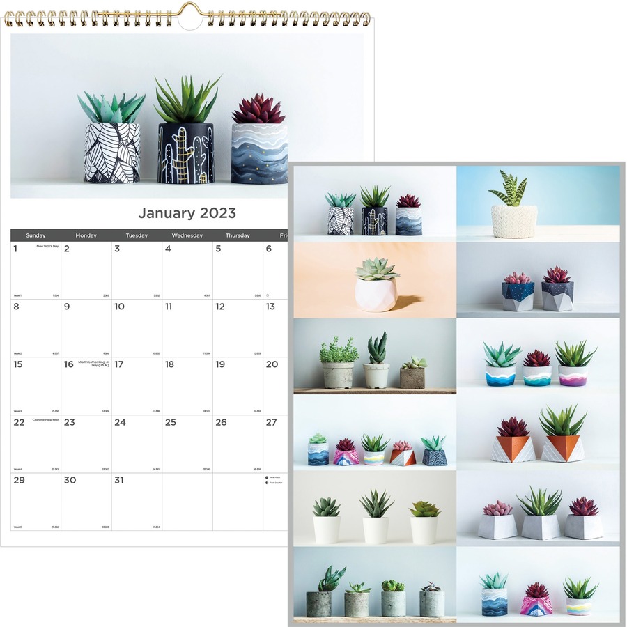Rediform Succulent Plants Wall Calendar - Wall Calendars | Dominion ...