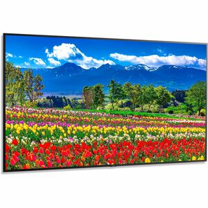 Sharp NEC Display 75" Ultra High Definition Professional Display With ...