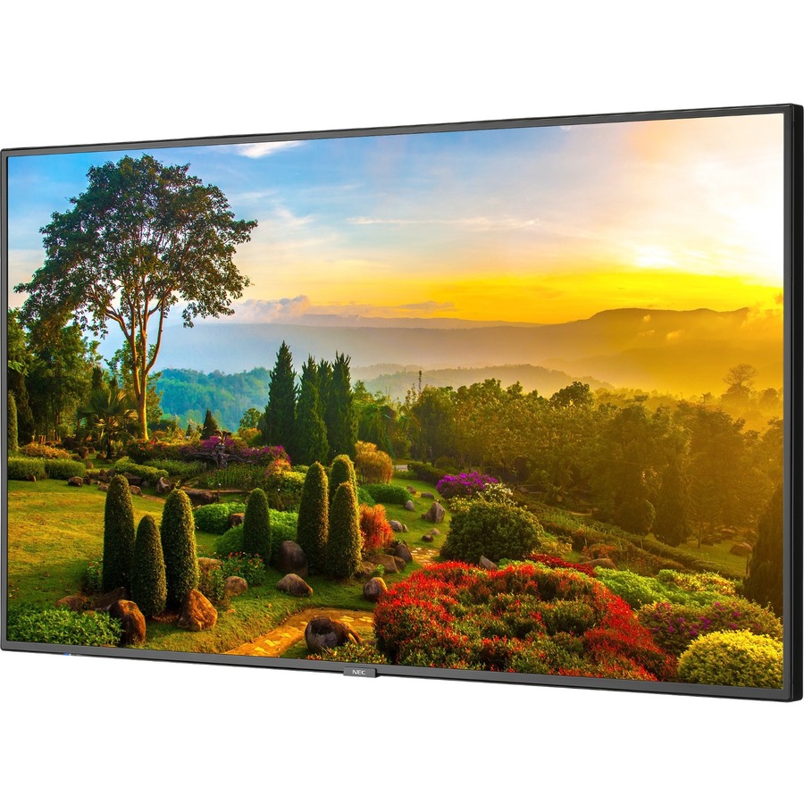NEC Display 55" Ultra High Definition Professional Display with Built ...