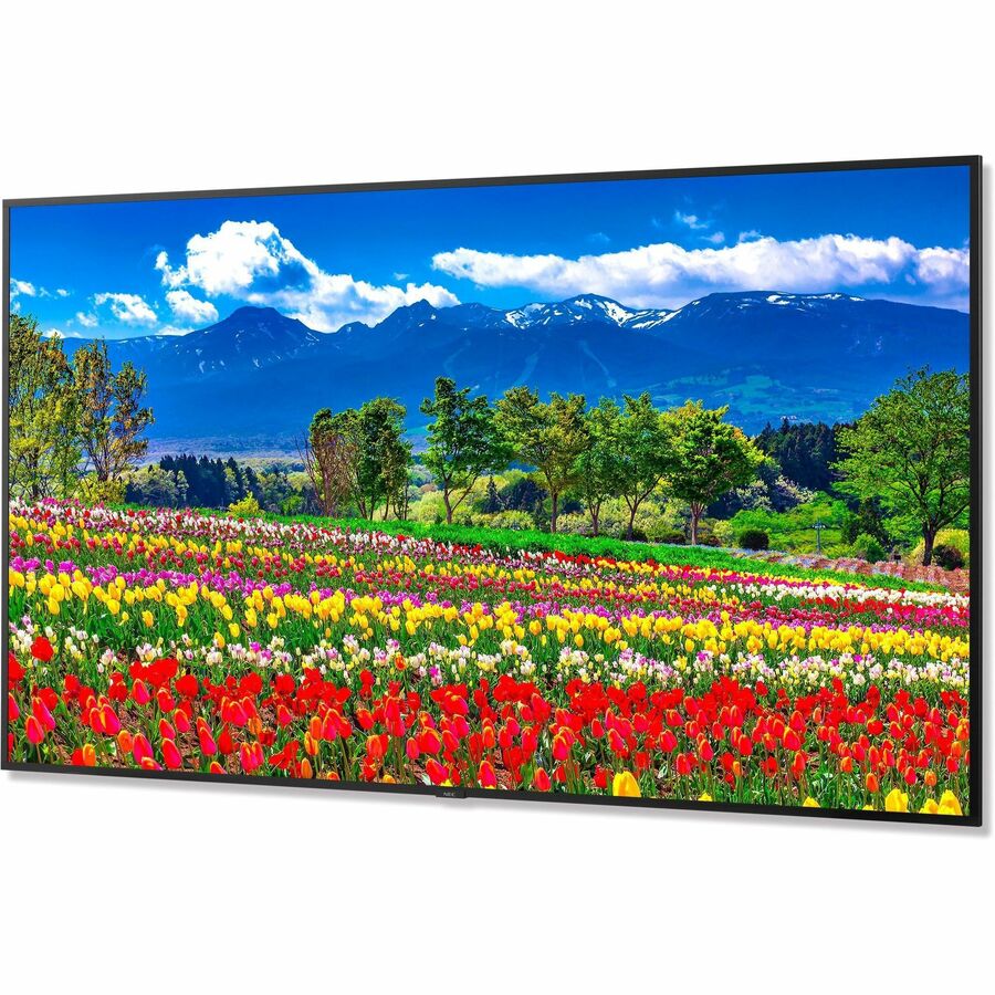 Sharp NEC Display 75" Ultra High Definition Professional Display With ...