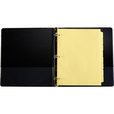 BSN16481 : Business Source Business Source Mylar-Reinforced Plain Tab ...