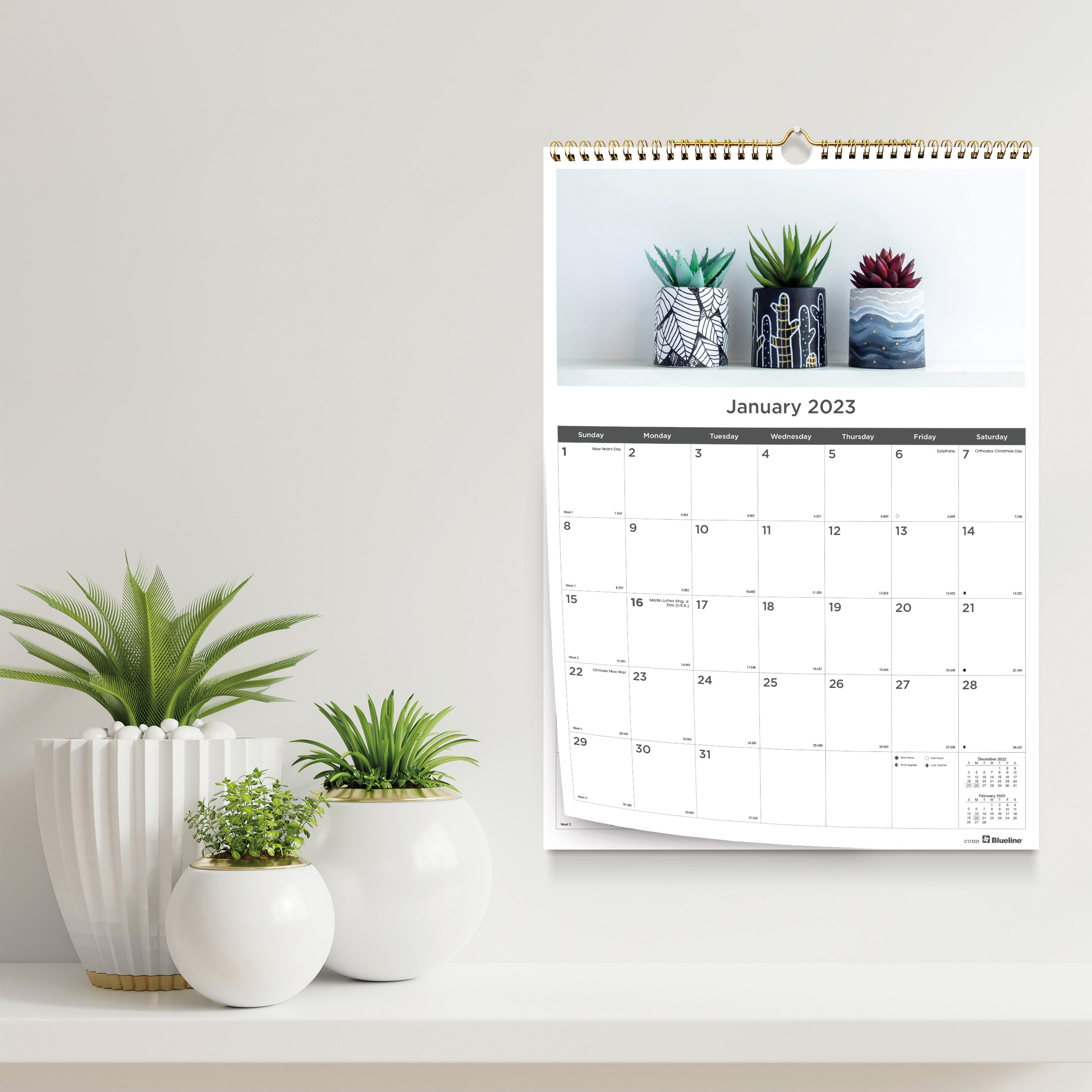 Rediform Succulent Plants Wall Calendar - Wall Calendars | Dominion ...