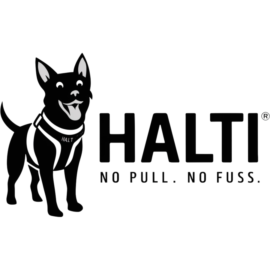Halti Halti Training Lead2mx25mm lrg - Madill - The Office Company