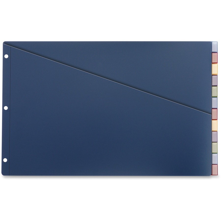 Insertable 11x17 Punched Poly Dividers