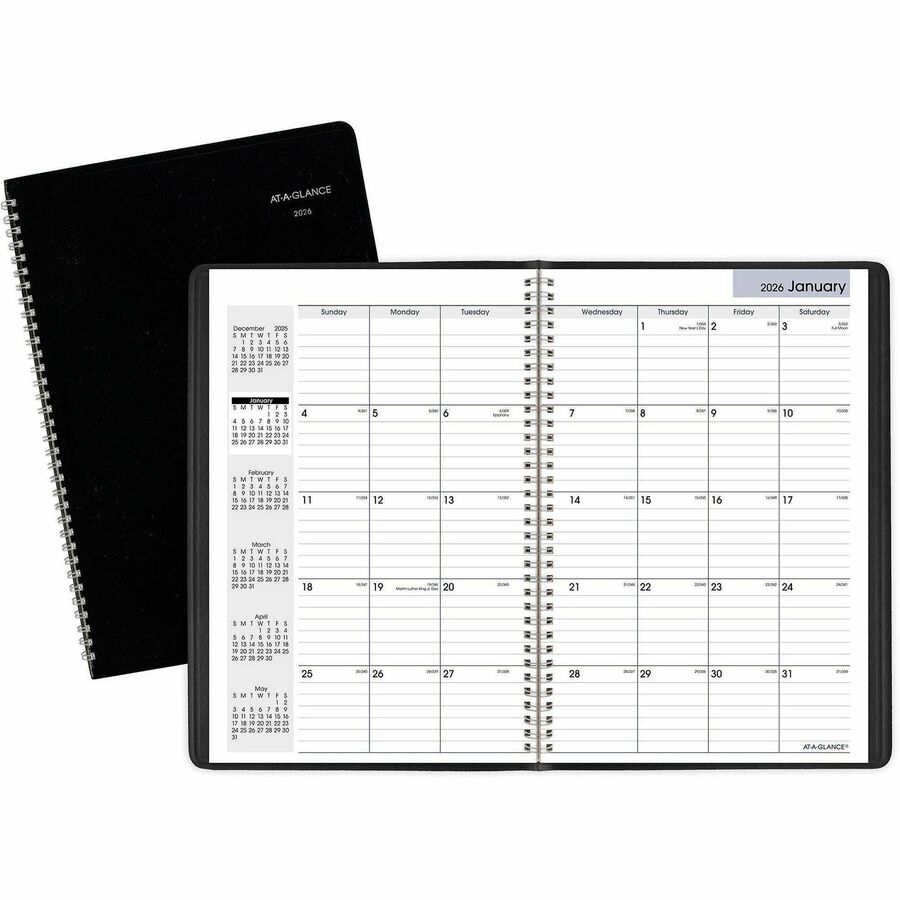 At-A-Glance G470-00, At-A-Glance DayMinder Ruled Planner, AAGG47000 ...