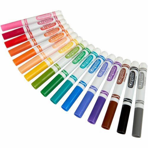 Crayola Classic Kid's Markers Classpack, Broad Line Tip, Assorted, 256 ...