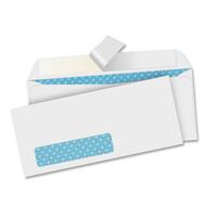 SPR38530 Sparco Security Window Envelopes - Zuma