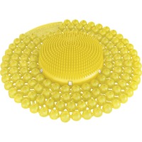 Vectair Systems P-Screen 60 Day Urinal Screen