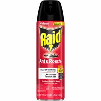 Raid Ant & Roach Killer Spray - Zerbee