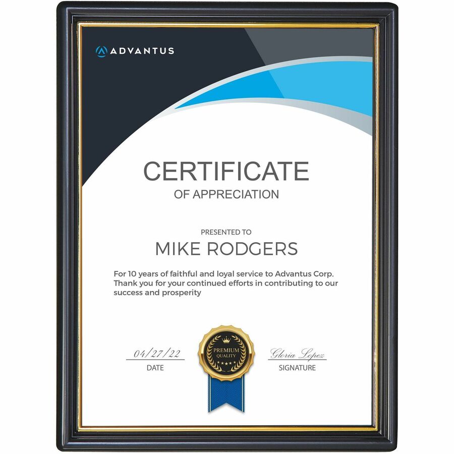 Golite nu-dell EZ Mount Wall Frame - Holds 8.50" x 11" NUD11880, NUD ...